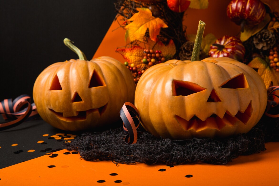 Hallowe'en Huts - Callaways Estate Agents Brighton & Hove